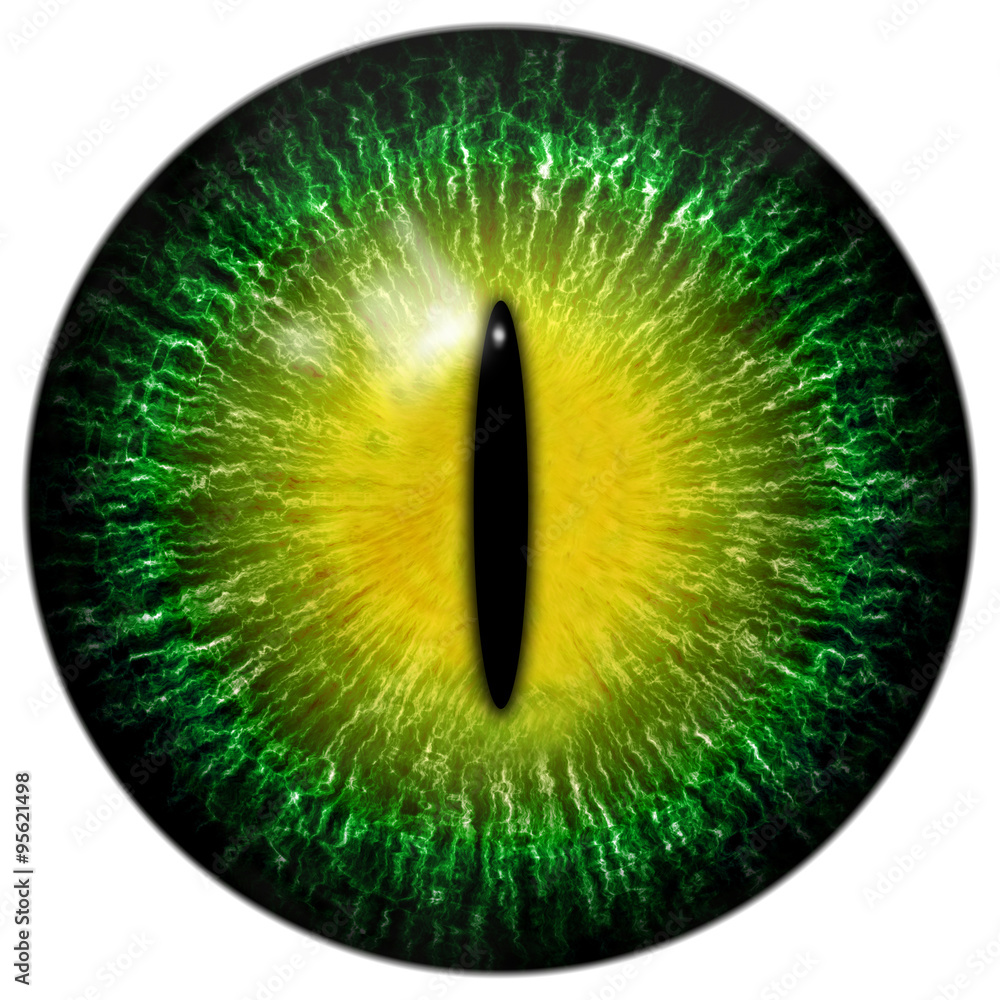 Green yellow cat, reptile or alien eye with narrow pupil Stock ...