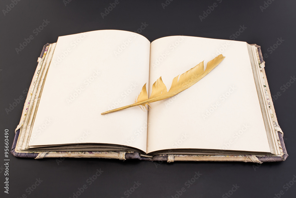 Gold feather and book on a black background Stock Photo | Adobe Stock