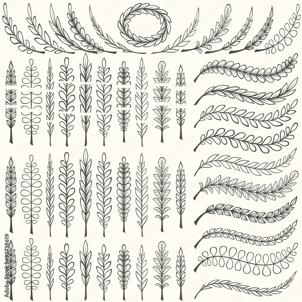 Hand drawn floral pattern borders and floral design elements set ...