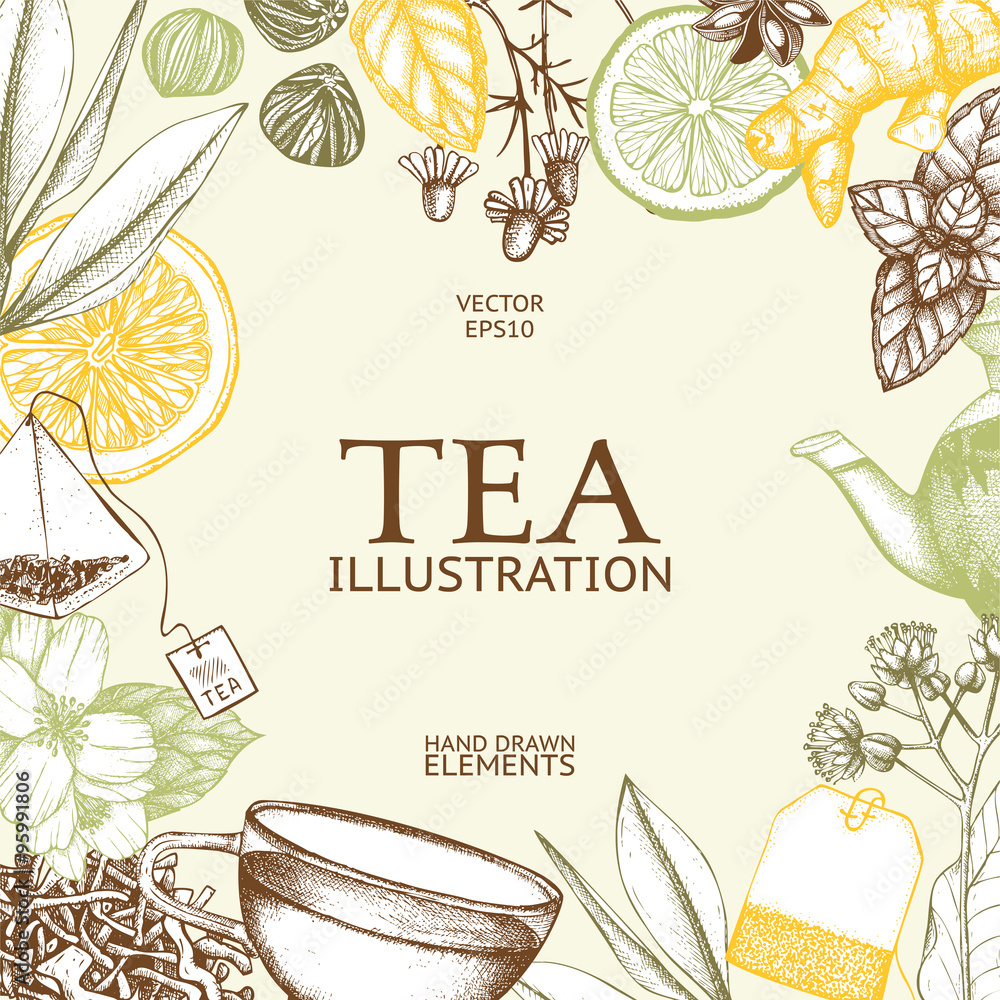 Vector card design with hand drawn tea illustration. Decorative inking ...