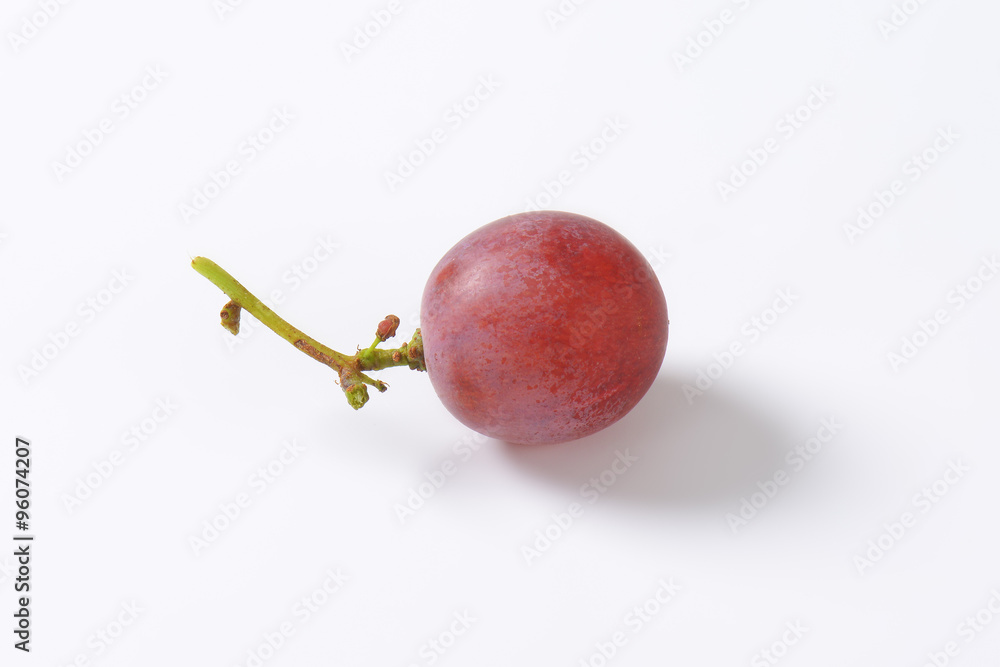 Red seedless grape Stock Photo | Adobe Stock