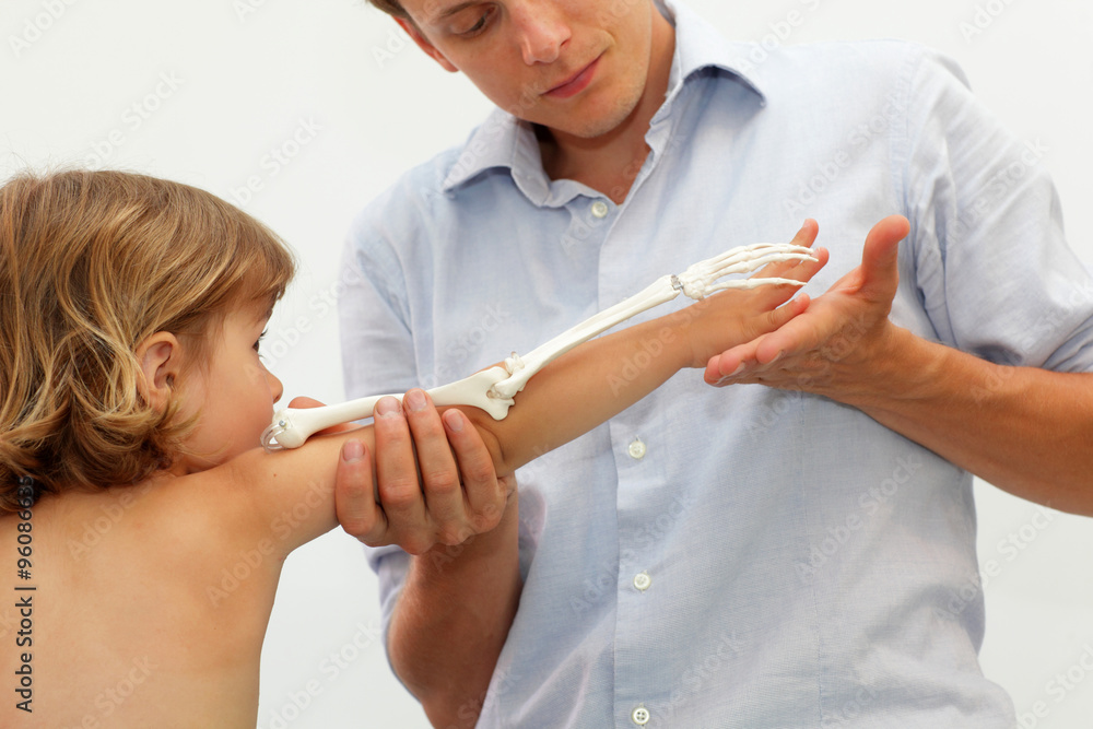 Presentation of child’s upper limb skeletal system Stock Photo | Adobe ...
