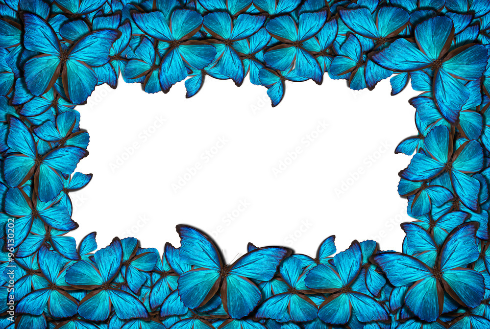 beautiful butterfly background Stock Photo | Adobe Stock