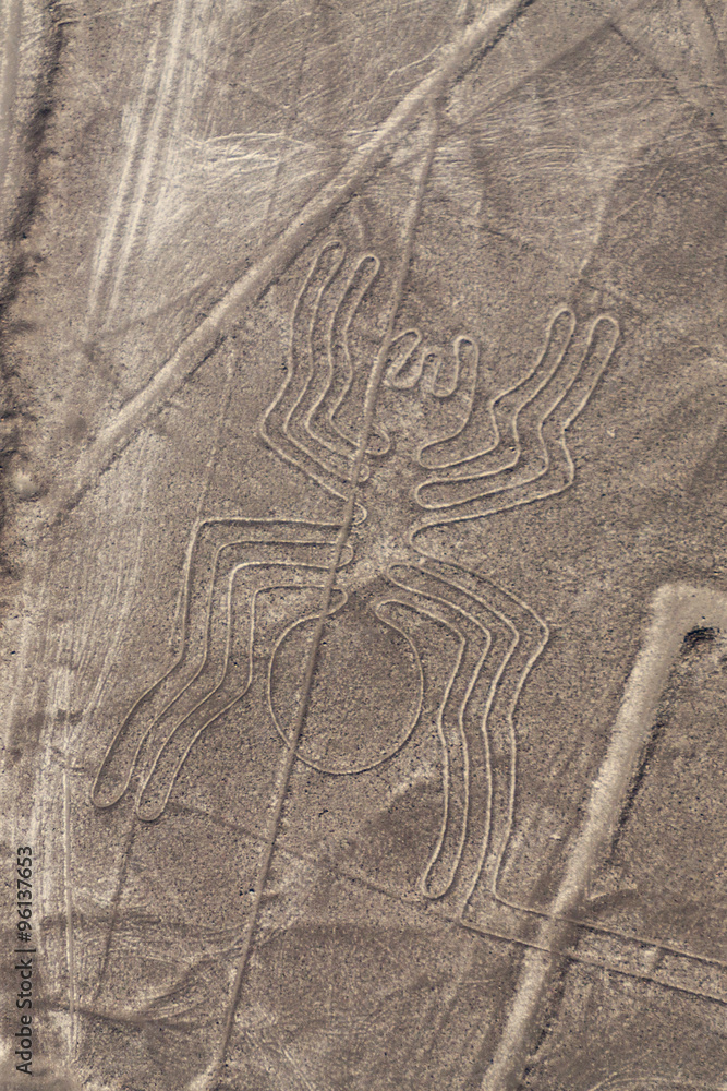 Aerial view of geoglyphs near Nazca - famous Nazca Lines, Peru. In the ...