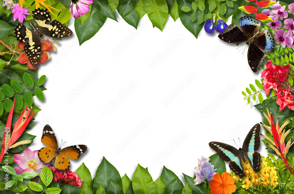 Nature Page Border