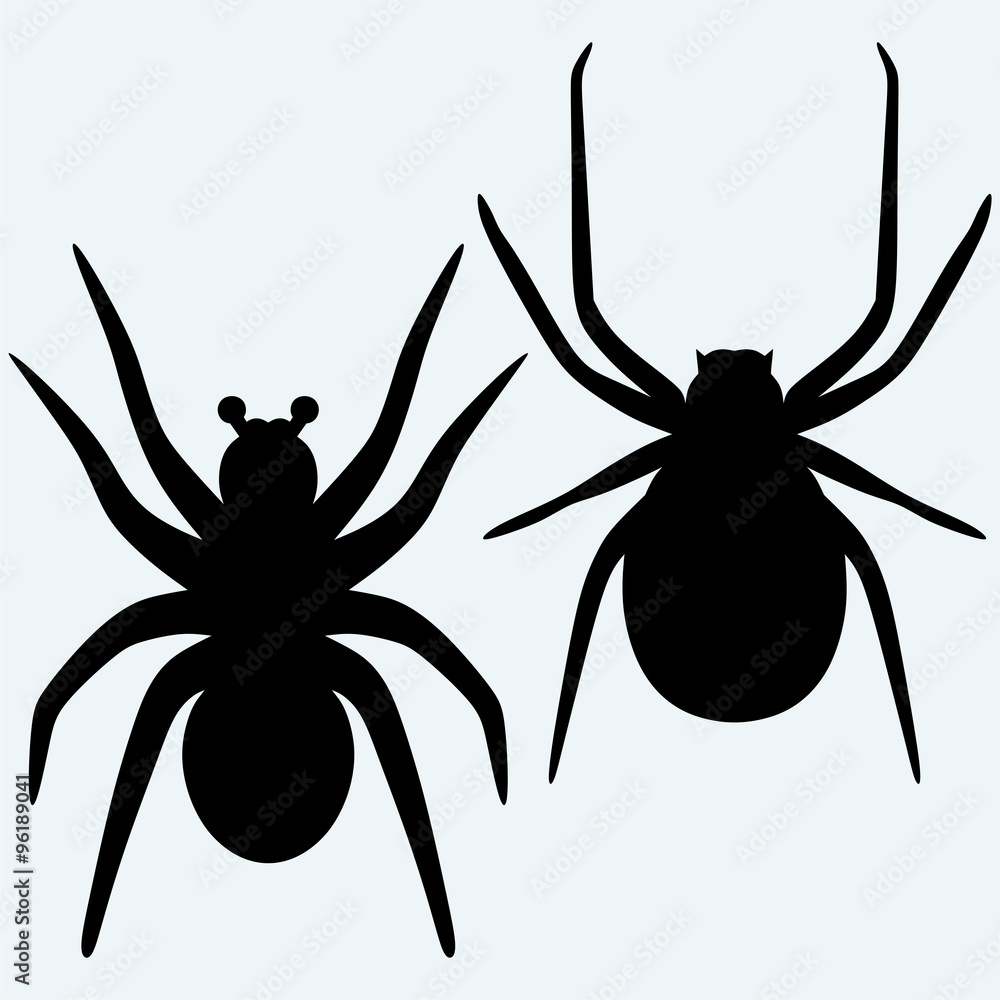 Set spider icon. Top,side and front view. Isolated on blue background ...