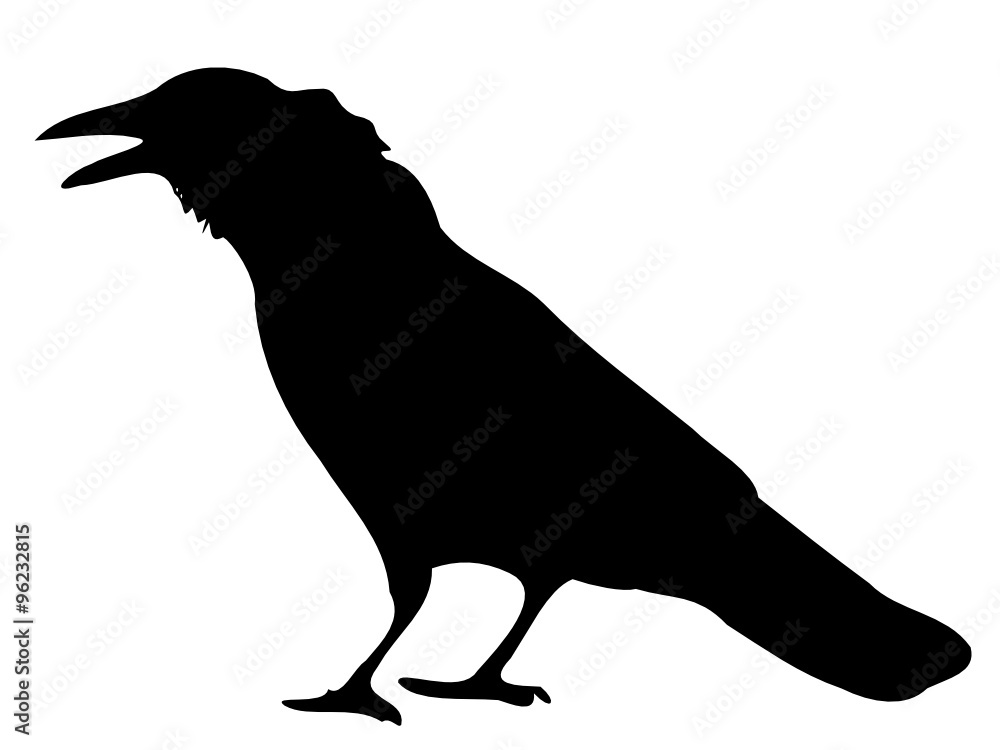 angry raven Stock Vector | Adobe Stock