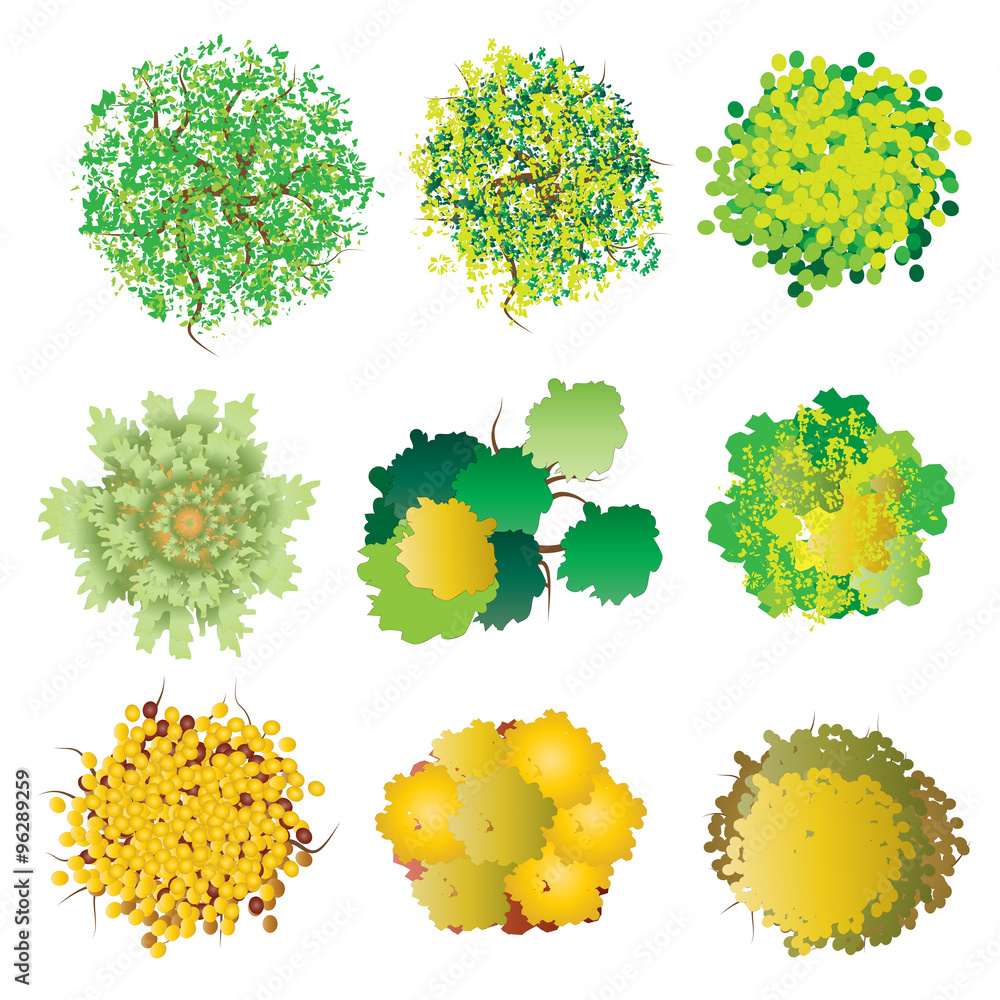 Plants and Trees top view set 3 for Landscape design , vector ...