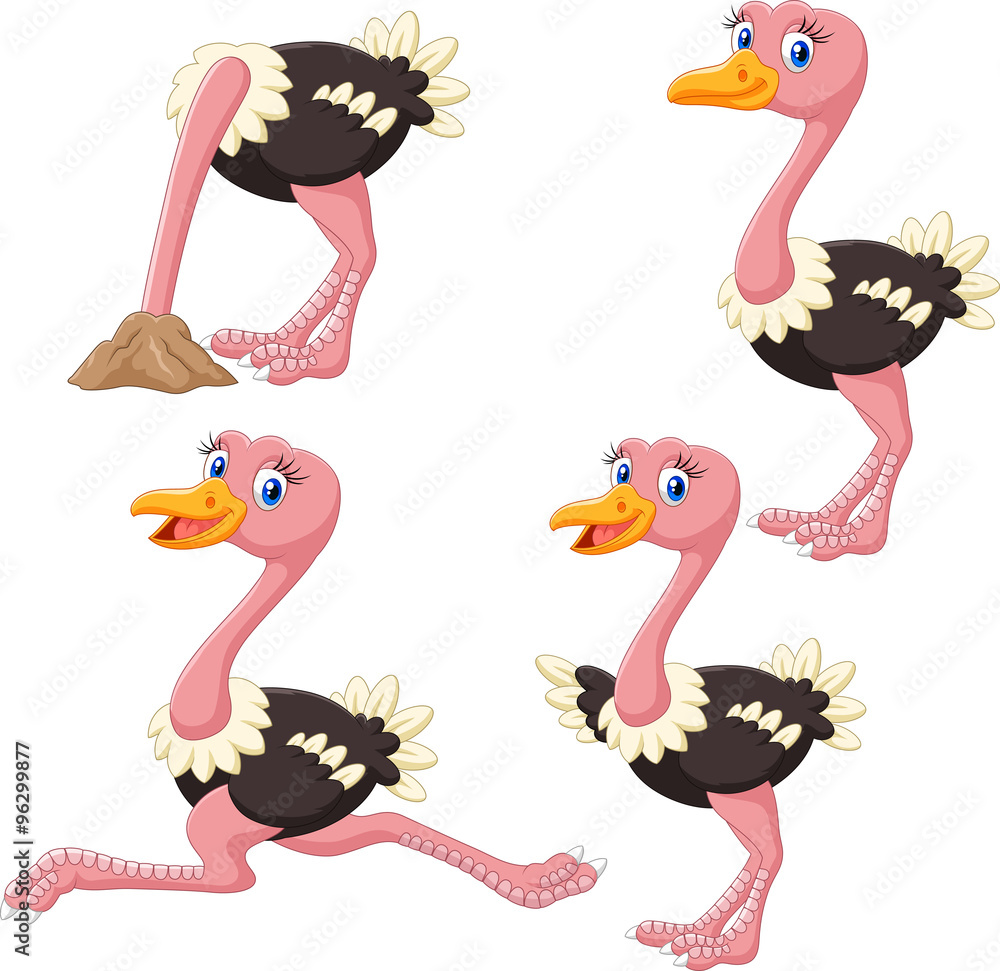 Cartoon funny ostrich collection set Stock Vector | Adobe Stock