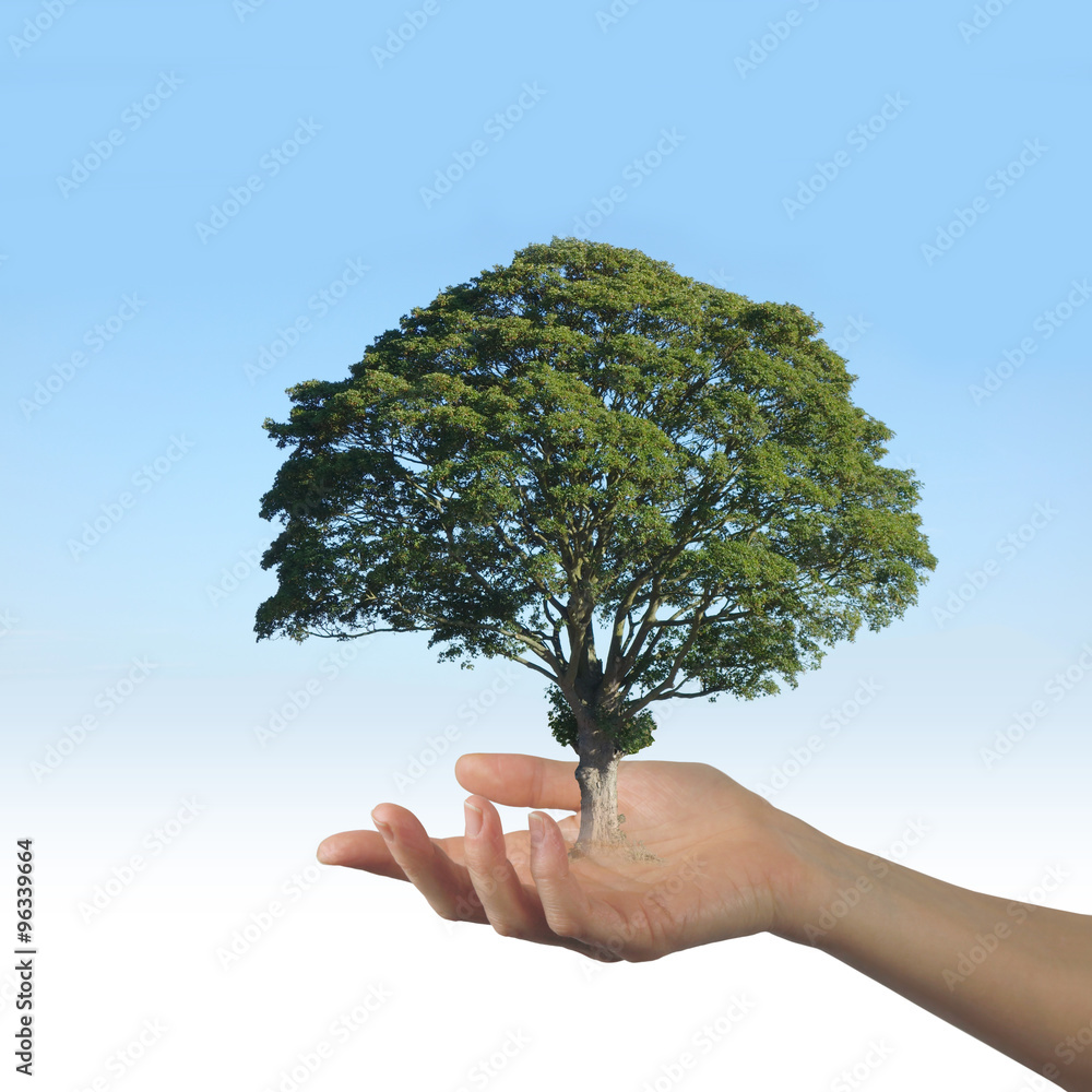 Save our Trees - female hand palm up in offering gesture with a ...
