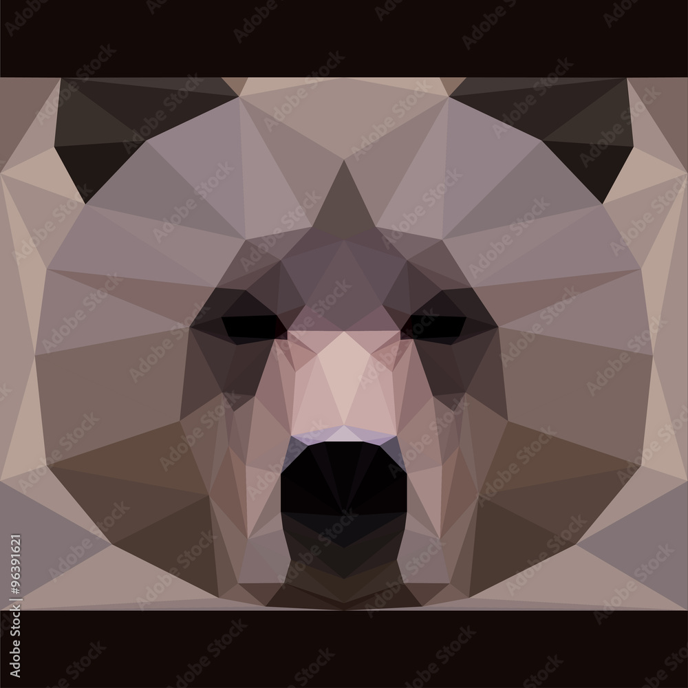 Wild brown bear stares forward. Nature and animals life theme ...