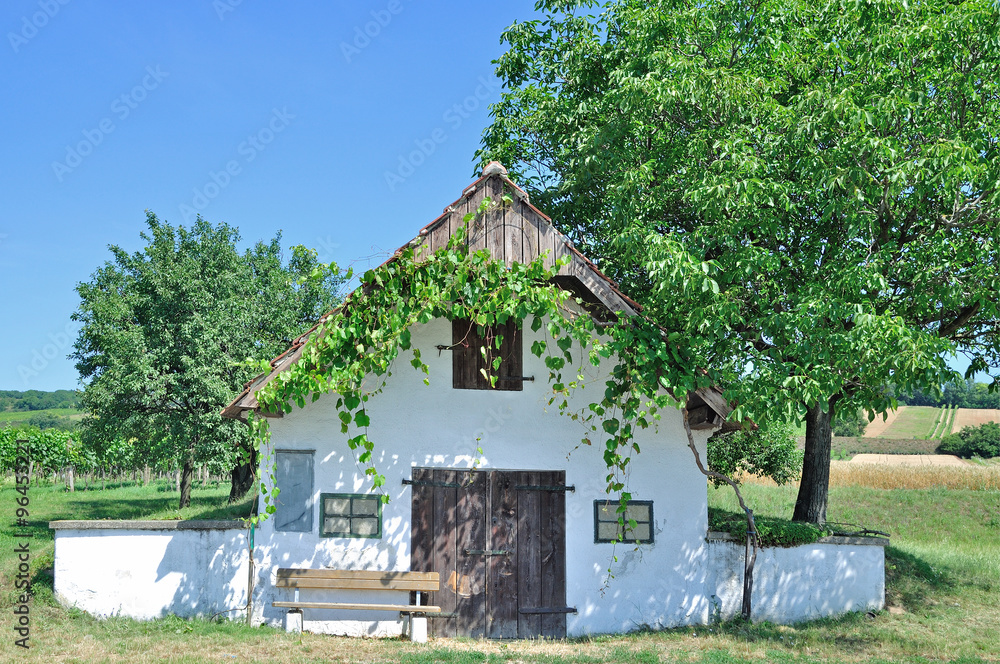 an der bekannten Kellergasse in Prellenkirchen nahe dem Neusiedler See ...