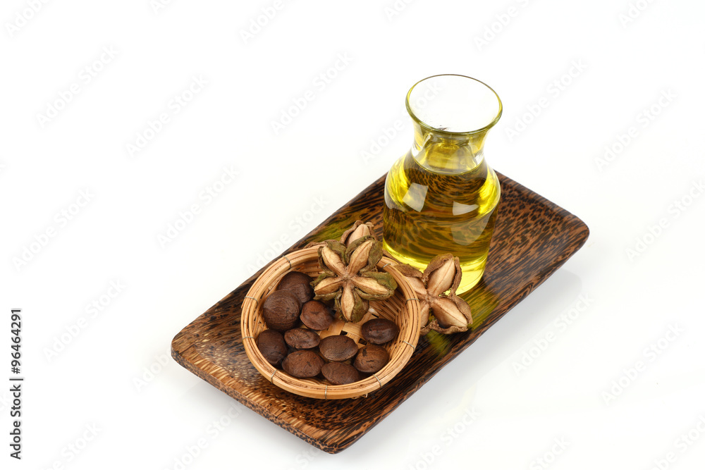 Plukenetia volubilis, commonly known as sacha inchi, sacha peanut ...