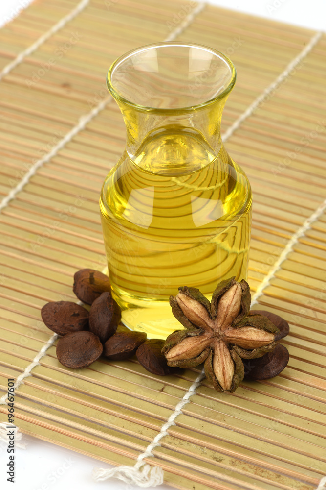 Plukenetia volubilis, commonly known as sacha inchi, sacha peanut ...