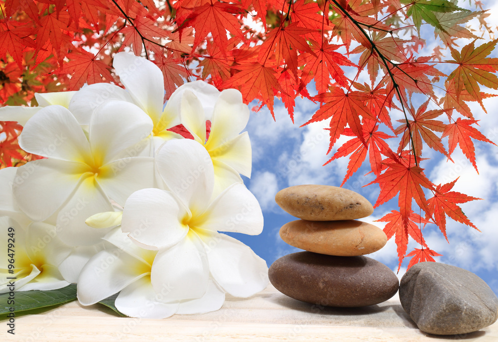Zen Spa Background