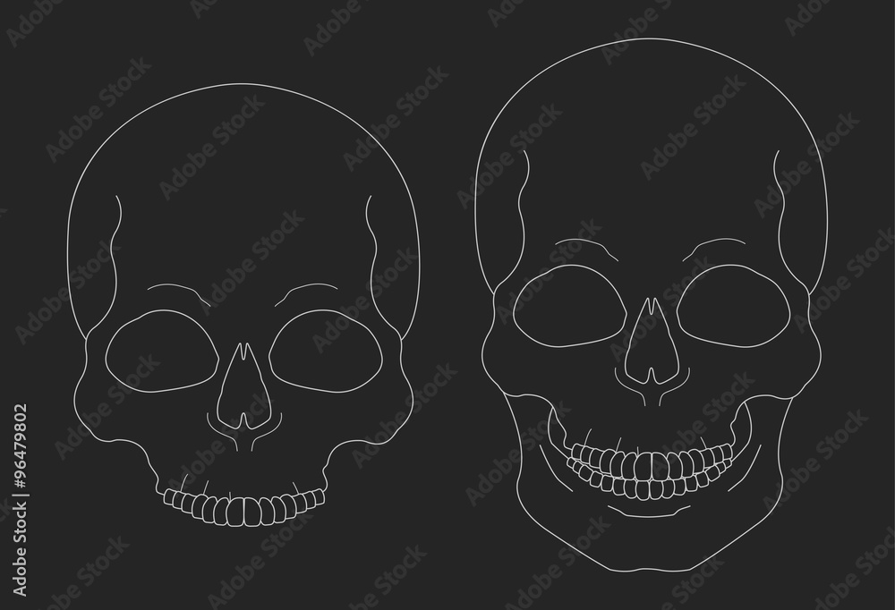 Chalk skull vector clip art Stock Vector | Adobe Stock
