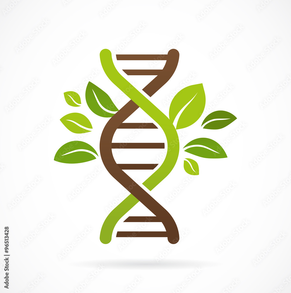 DNA, genetic icon - tree with green leaves Stock Vector | Adobe Stock