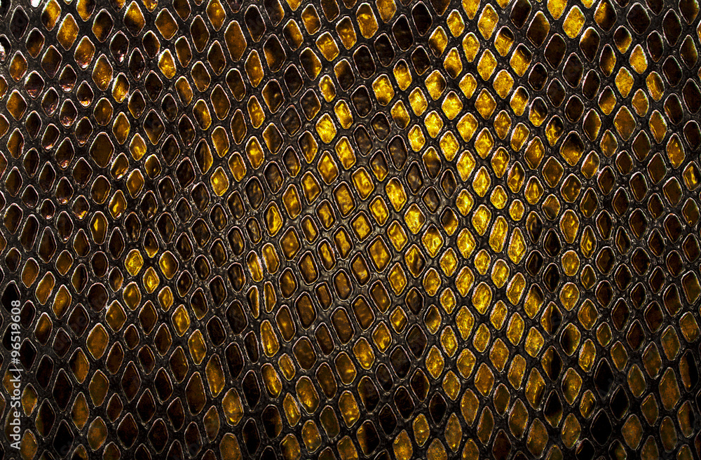 Snake skin background Stock Photo | Adobe Stock