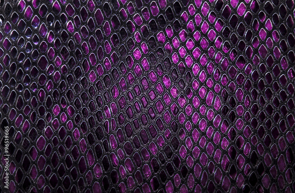Snake skin background Stock Photo | Adobe Stock