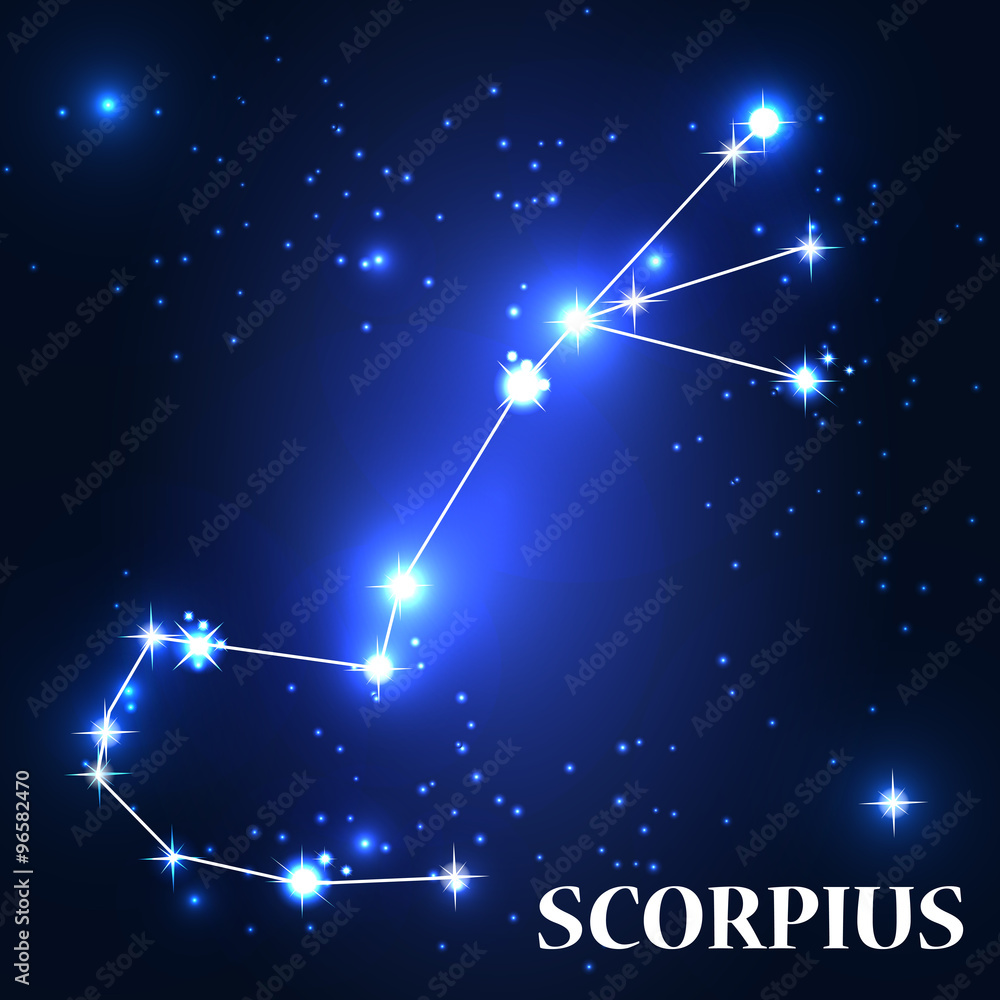 Photography Poster Symbol. Scorpius Zodiac Sign. Vector Illustration ...