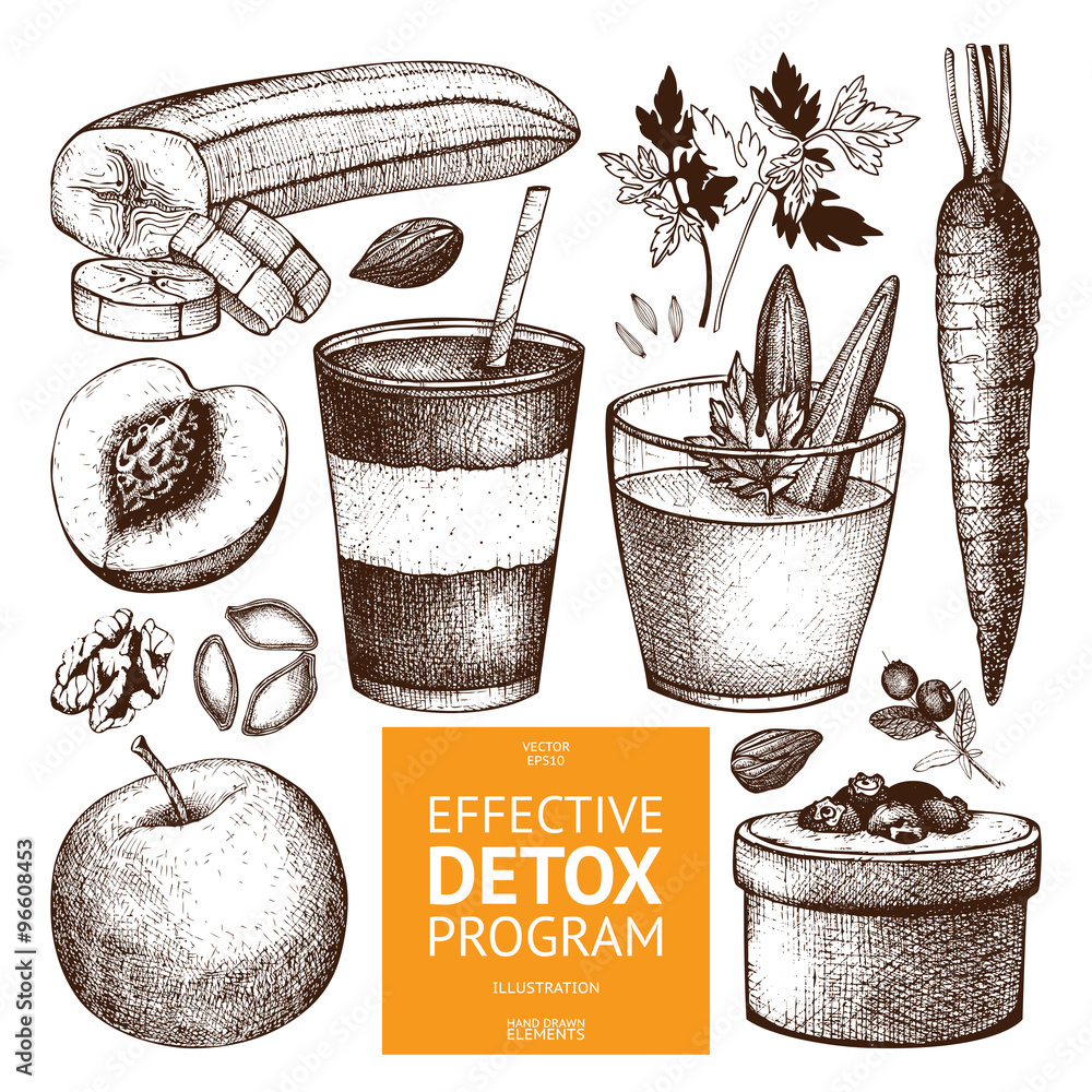 Vector collection of ink hand drawn diet sketch. Vintage healthy food ...