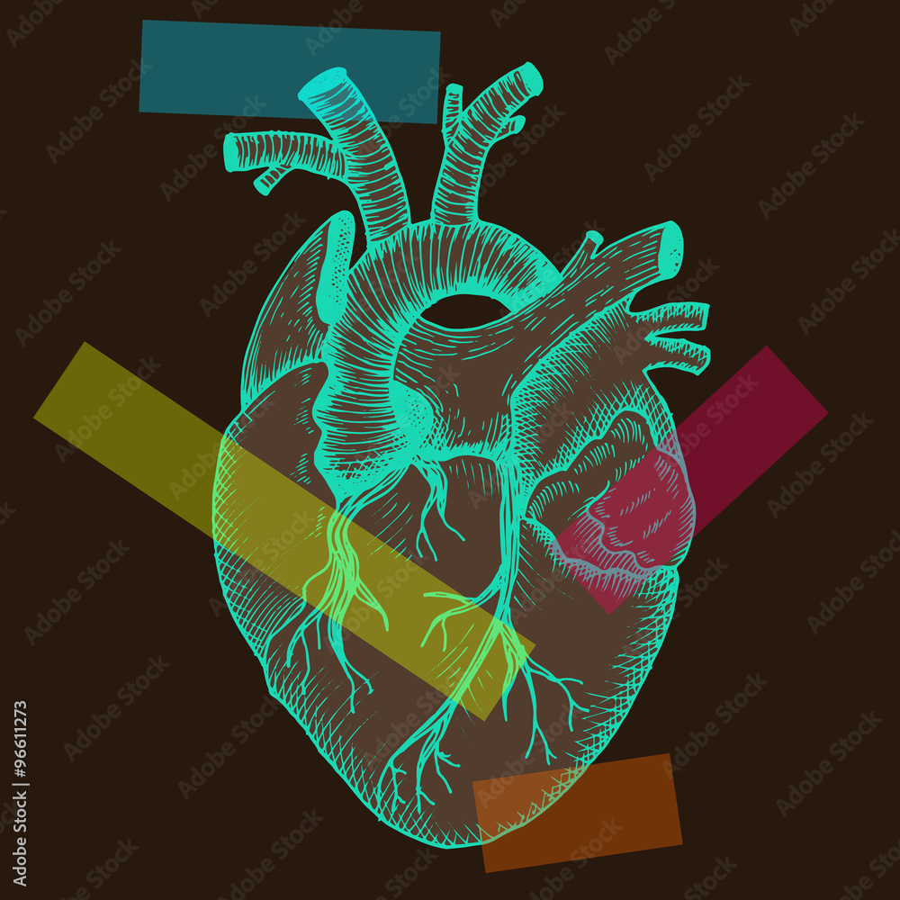 Anatomical abstract heart - vector vintage style detailed illustration ...