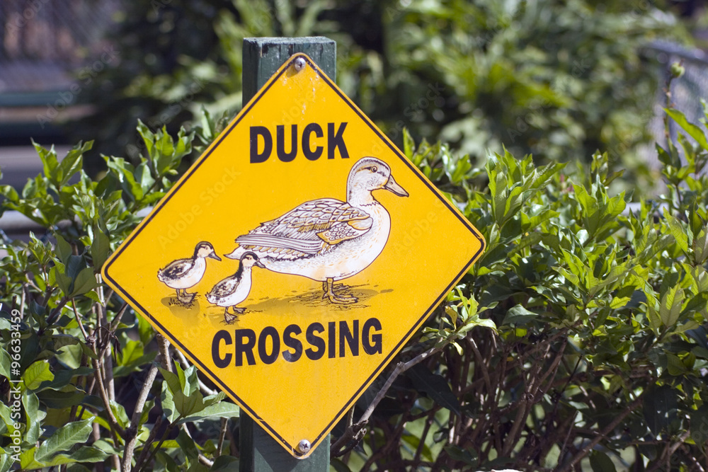 Duck Crossing Sign