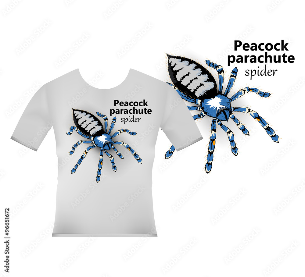 T-shirt designs with Peacock parachute spider screen vector on a white ...