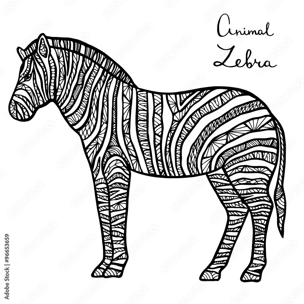 Stylized vector Zebra, zentangle isolated on white background. Stock ...