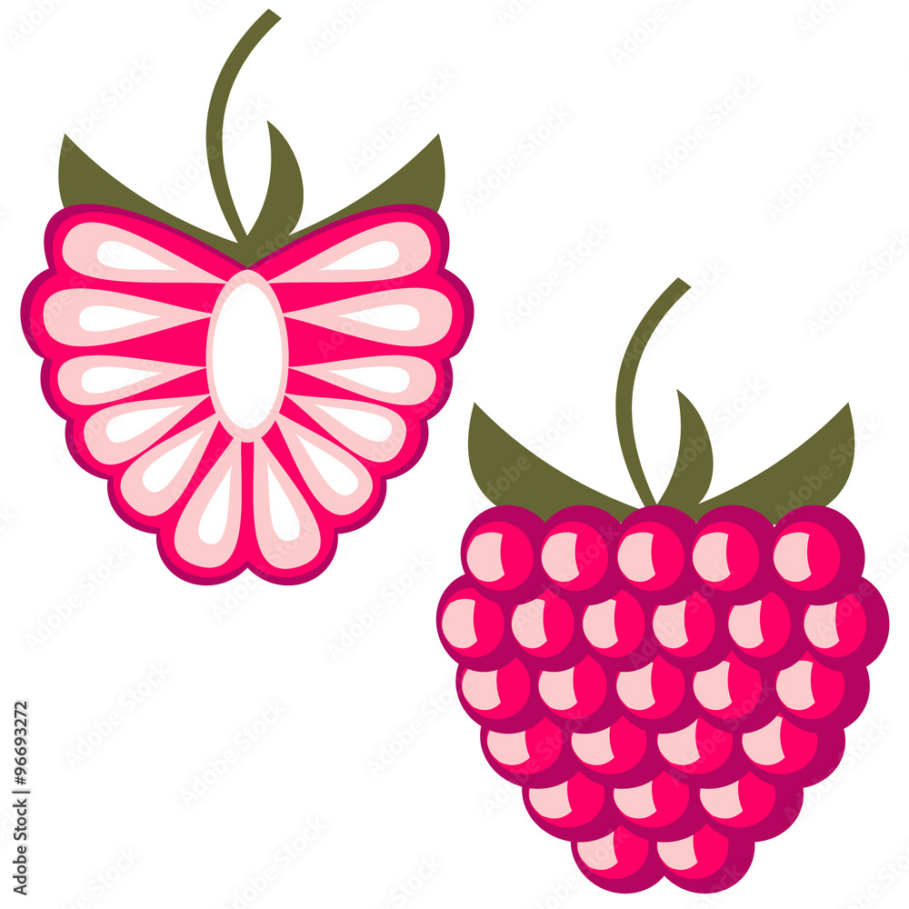 Vector fruits illustration. Detailed icons of raspberry, whole and half ...