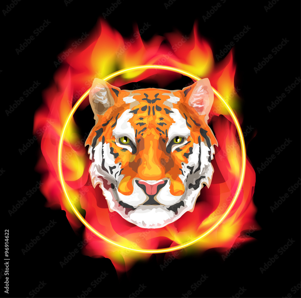 Tiger on fire Stock Vector | Adobe Stock
