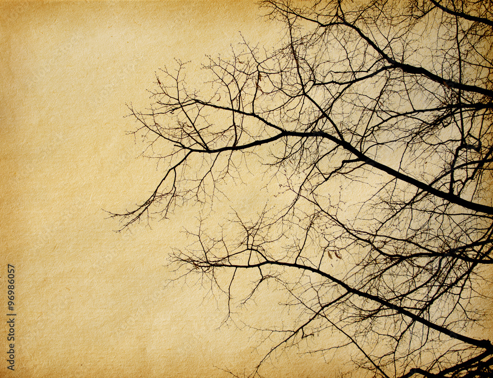 vintage paper textures. tree without leaves Stock Photo | Adobe Stock
