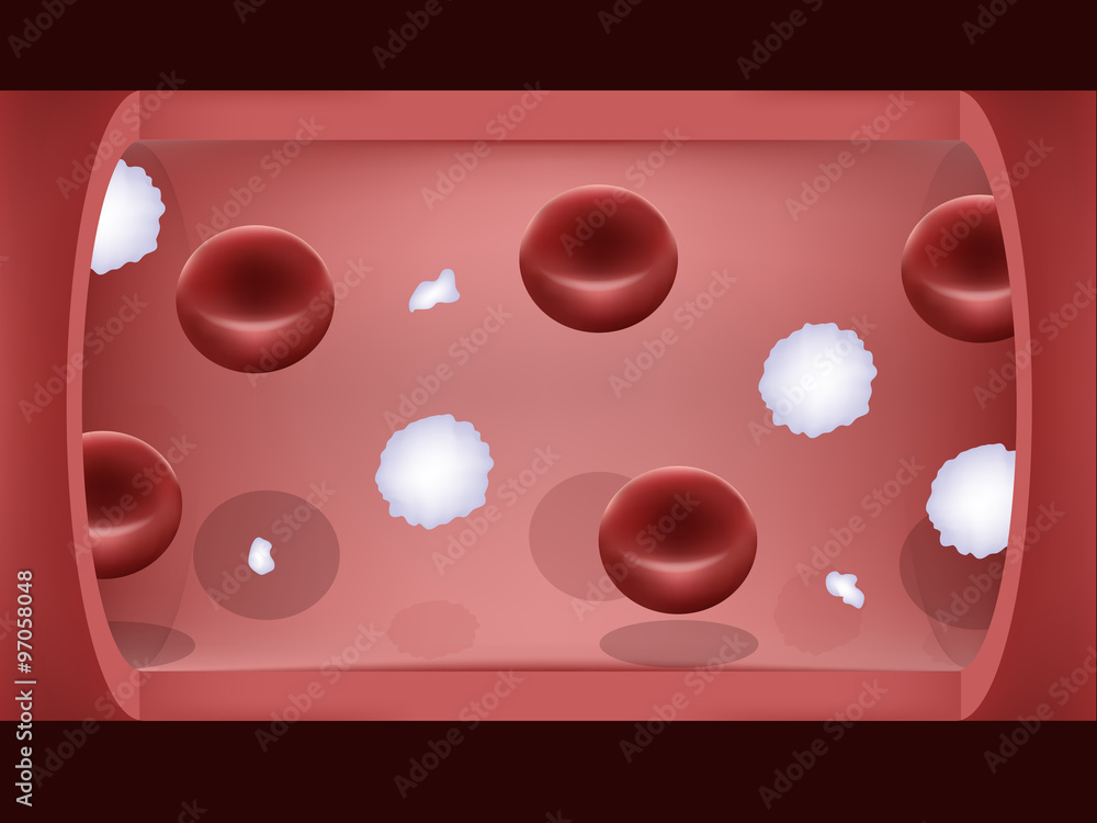 graphic design of blood system,Interior of a blood vessel with red ...
