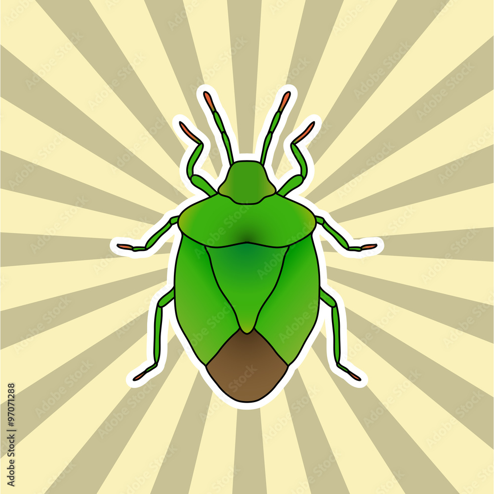 Insect sticker. shield bug. Palomena prasina. Sketch of shield bug ...