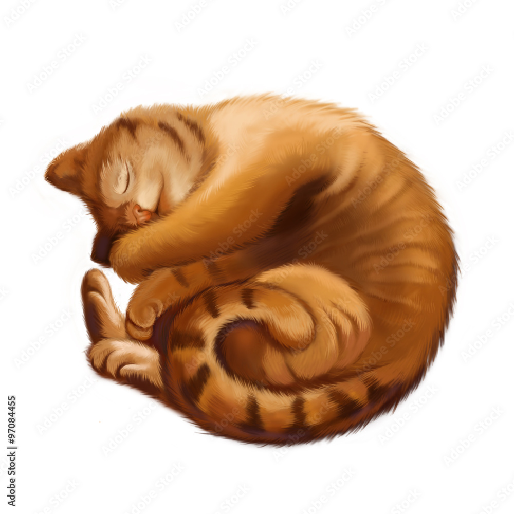 Realistic Cartoon Wild Cat