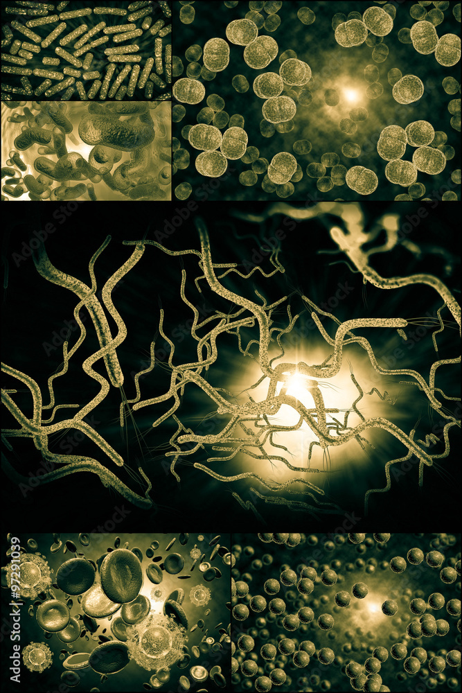 Bacteria Infection Collage Stock Photo | Adobe Stock