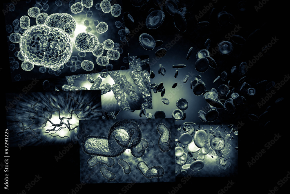 Bacteria Infection Collage Stock Photo | Adobe Stock