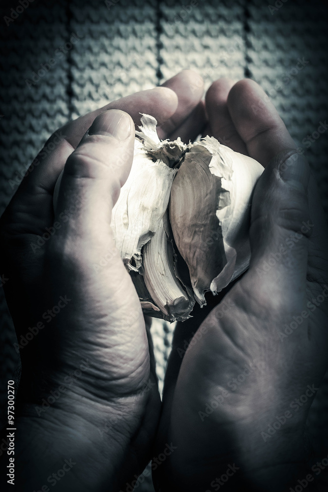 Extra Large Elephant Garlic Stock Photo | Adobe Stock