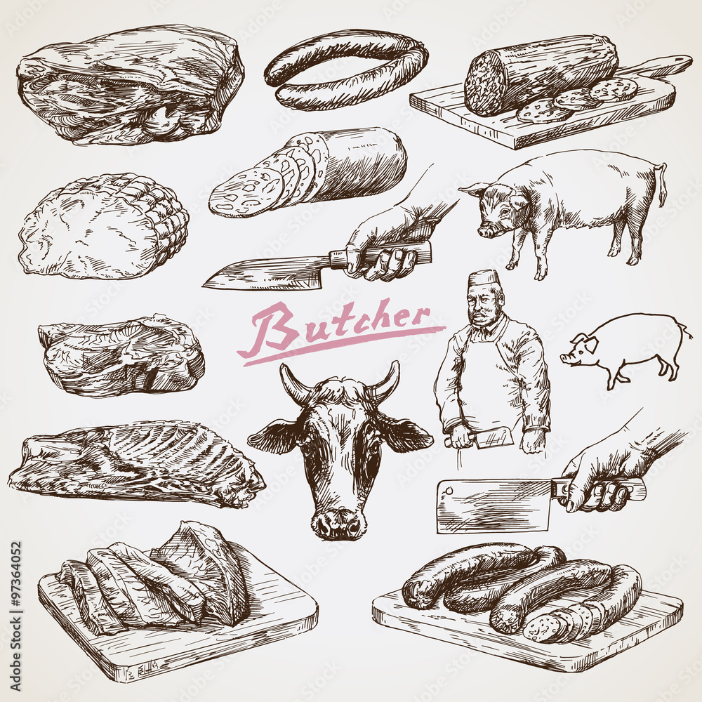 Meat, butcher. Hand drawn vector illustration Stock Vector | Adobe Stock