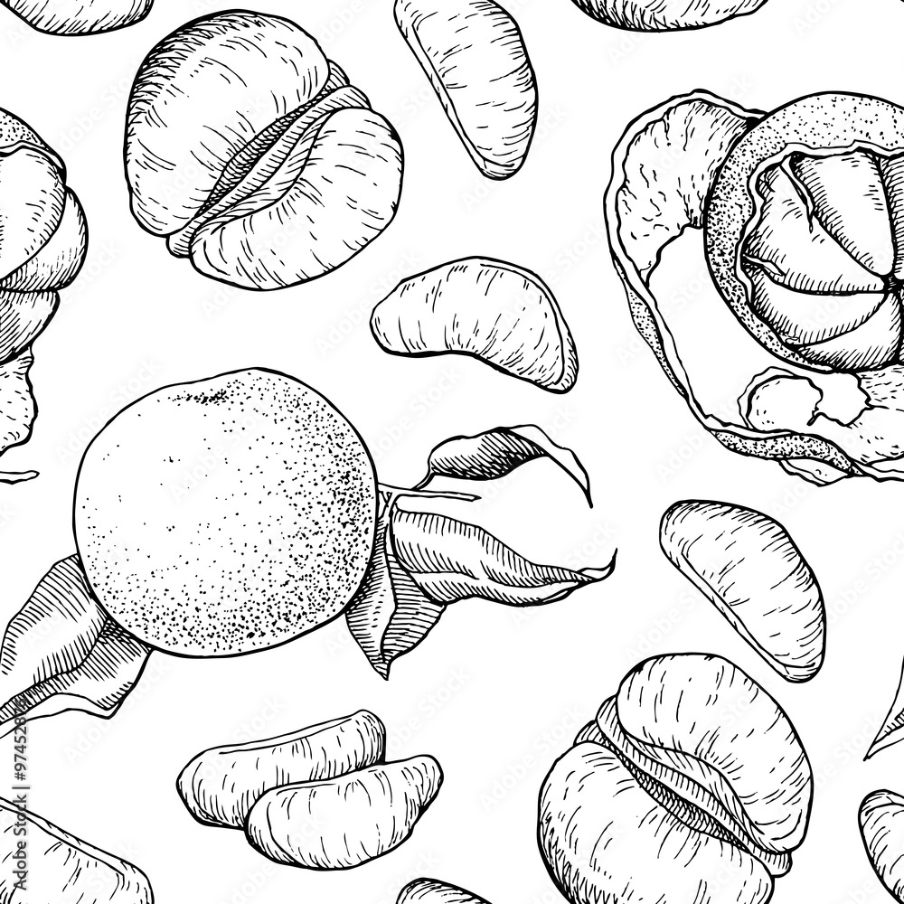 Vector hand drawn mandarin seamless pattern Stock Vector | Adobe Stock
