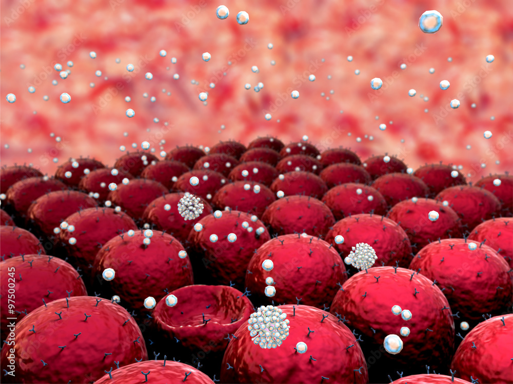 pathogen and cells, field of cells, field of cells with receptors ...