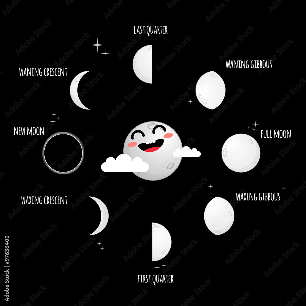 Phases of the moon vector illustration Stock Vector | Adobe Stock