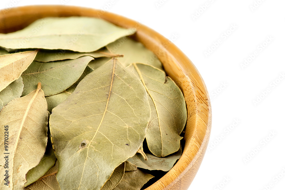 Mexican Bay Leaf