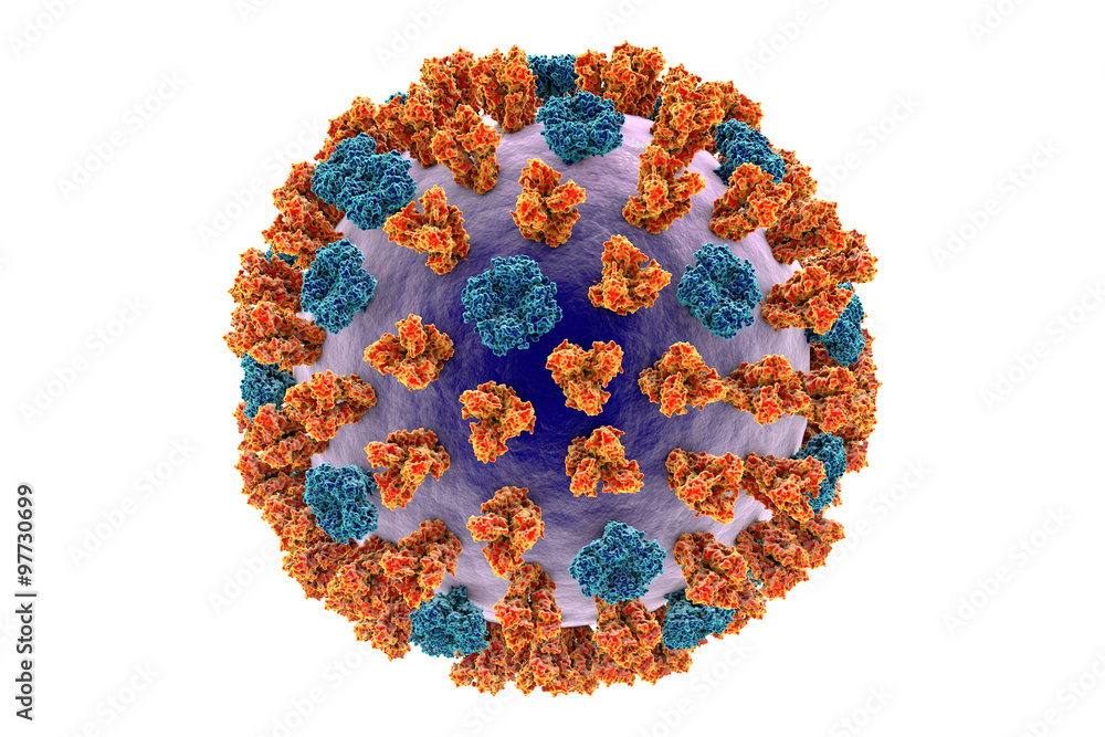 Influenza virus isolated on white background showing surface ...