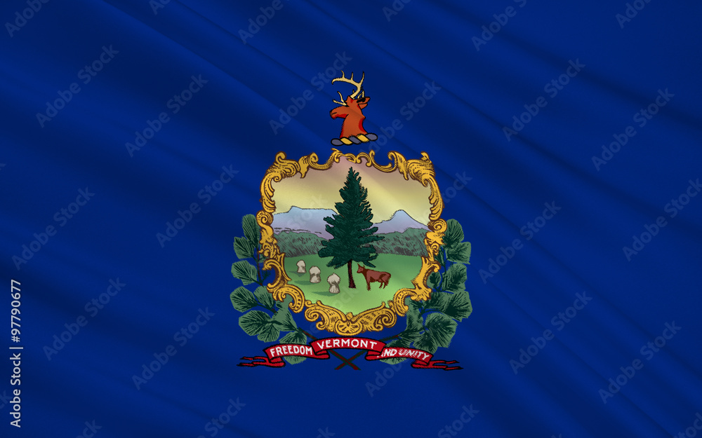 State Flag of Vermont Stock Photo | Adobe Stock