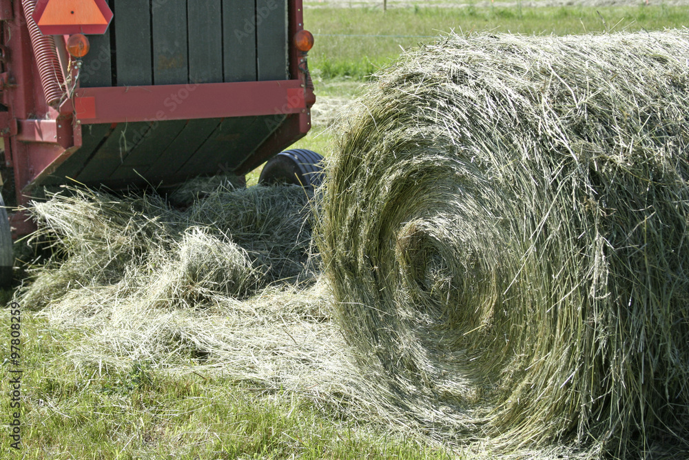 Broken Round Bale – A broken round bale lies behind the tractor pulling ...