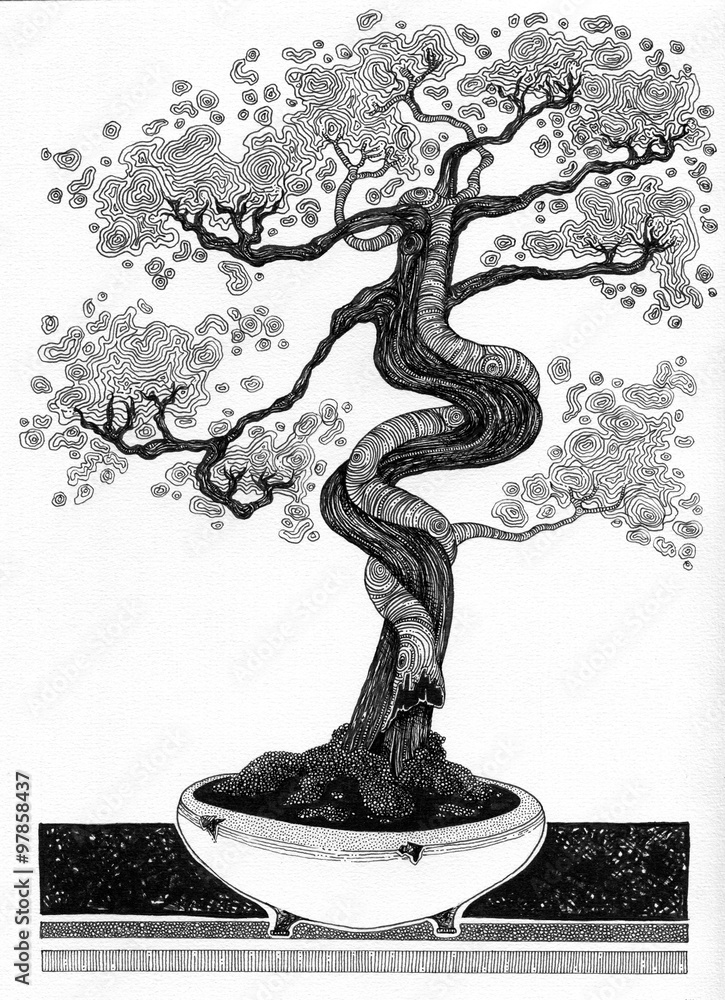 Bonsai Tree Drawing Simple