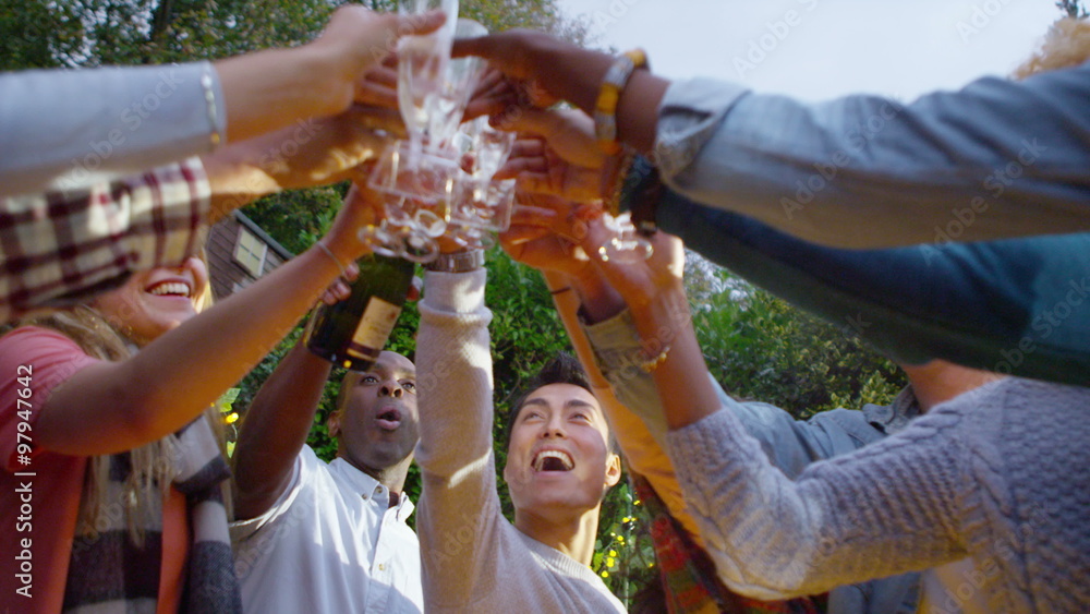 Happy group of friends raise glasses for a toast at outdoor party Stock ...
