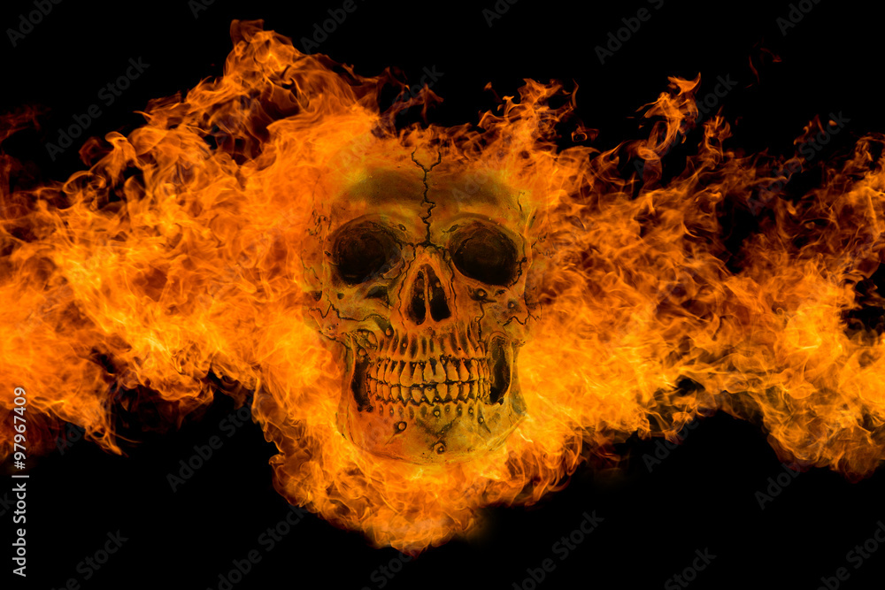 Fire skull Stock Photo | Adobe Stock