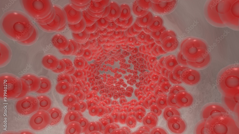 Endoscopic view of flowing red blood cells in a graft Stock ...